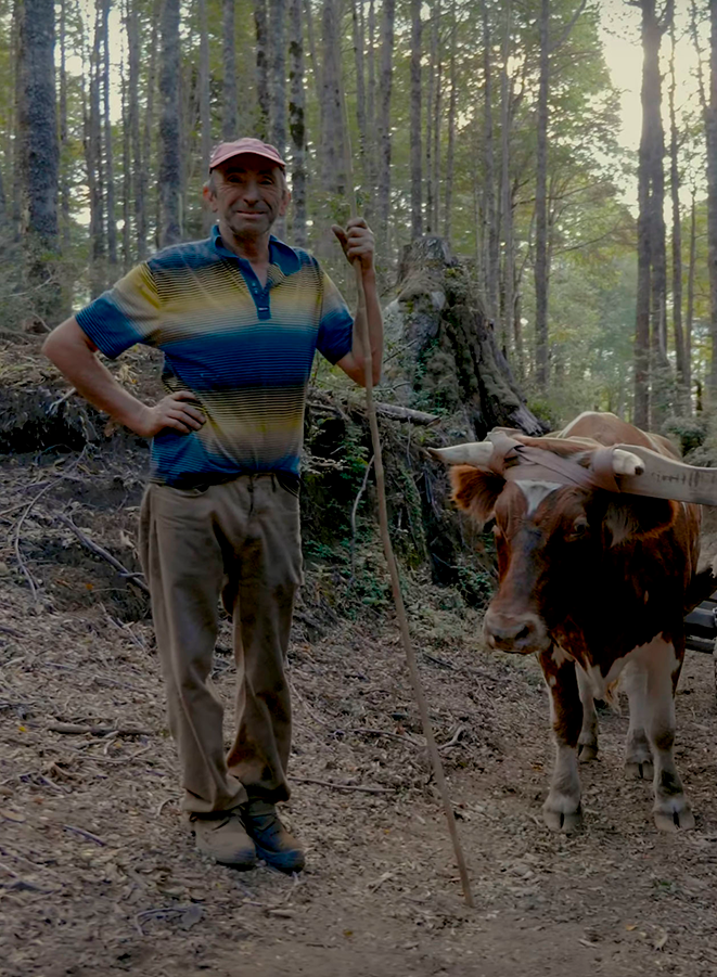 Micro Documentaries | A Window to the World Hualle Handmade